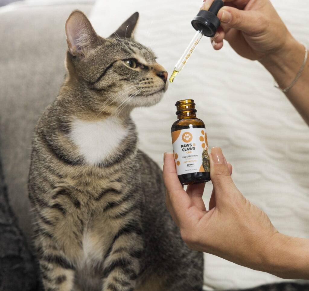 CBD Oil for Cats - Vet-Formulated for Arthritis & Mobility